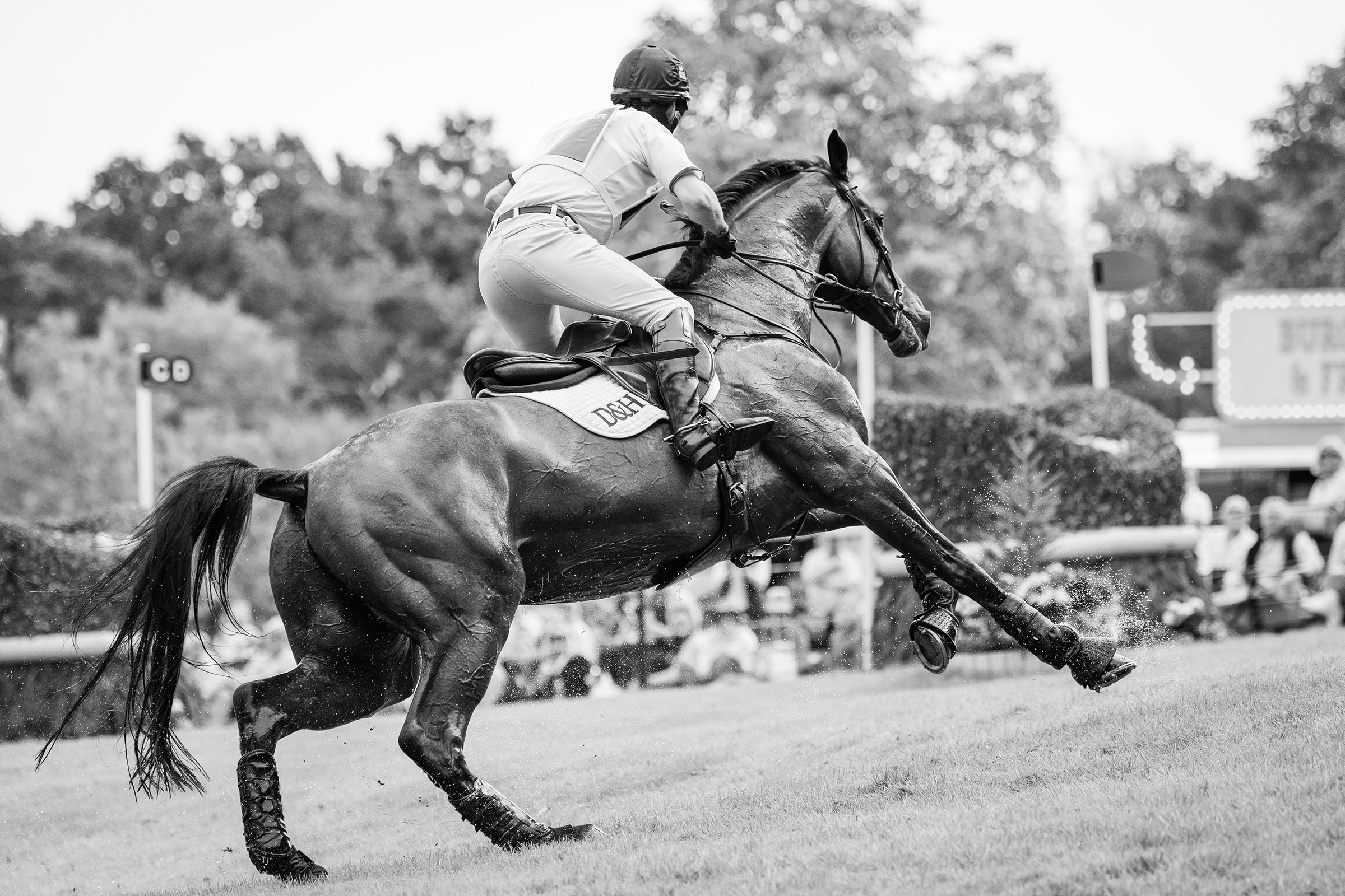 Emma Gorman Photography