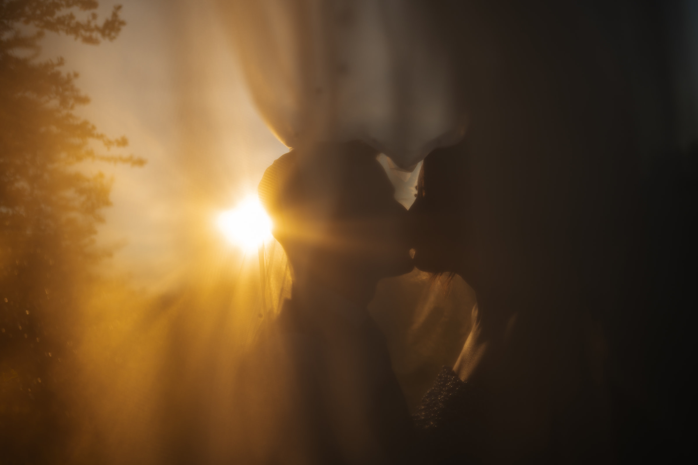 Victoria Photography